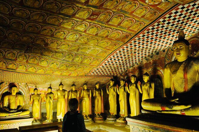 Private Day Trip To Minneriya Sigiriya and Dambulla From Kandy - Who Should Book This Tour?