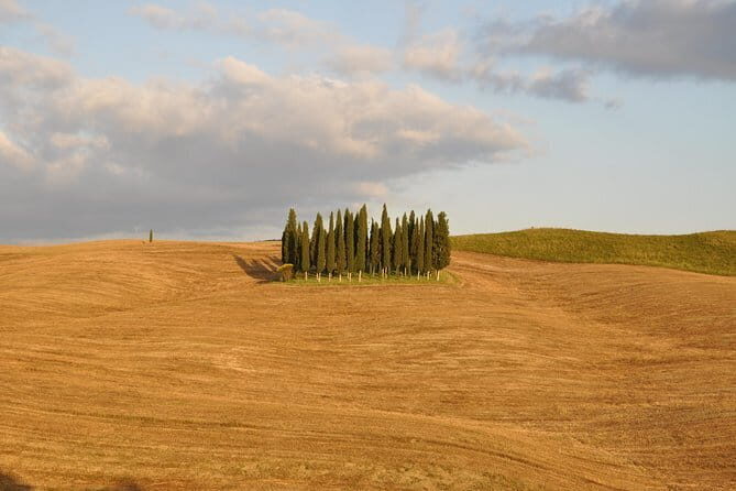 Private Day Trip to Montalcino and Montepulciano from Florence - An In-Depth Look at the Experience
