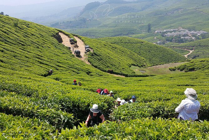 Private Day Trip to Munnar from Kochi (Cochin) - The Route and Its Highlights