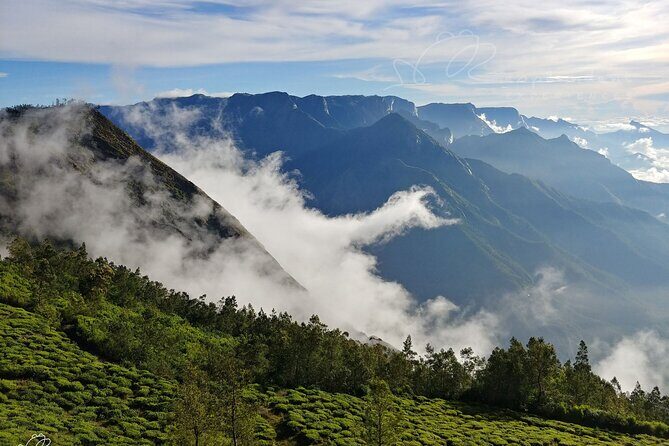 Private Day Trip to Munnar from Kochi (Cochin) - The Sum Up