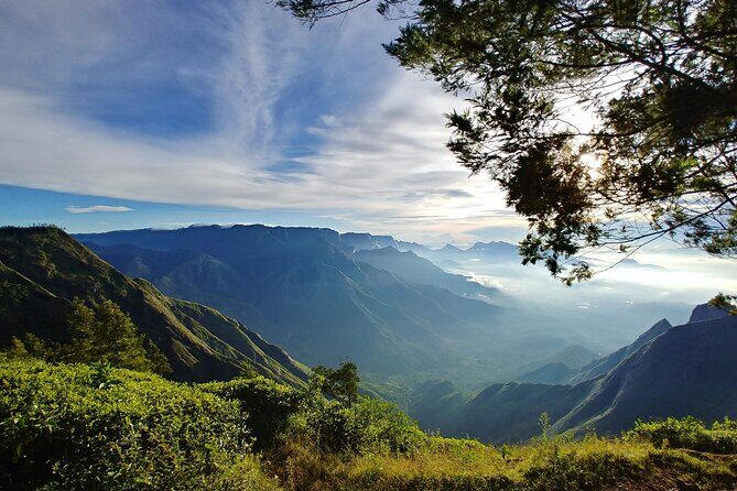 Private Day Trip to Munnar from Kochi (Cochin) - FAQ