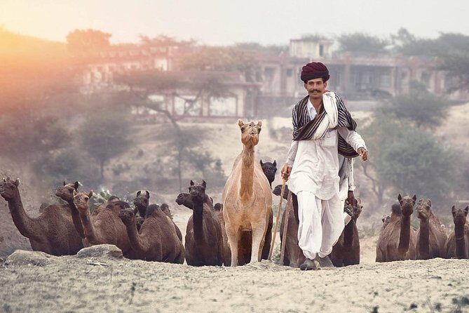 Private day trip to Pushkar from Jaipur - Key Points