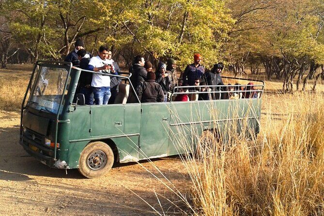 Private Day Trip to Ranthambore Tiger Reserve from Jaipur - In The Sum Up: Is This Tour Right for You?