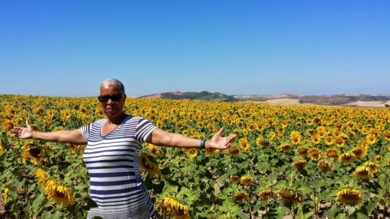 Private Day Trip to Ronda and Malaga from Seville - Key Points