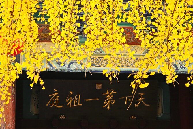 Private Day Trip to Shaolin Temple and Longmen Grottoes - Final Thoughts