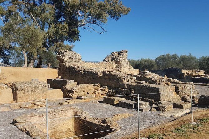 Private Day Trip to Sparta from Kalamata (Price per Group) - Considerations and Potential Drawbacks