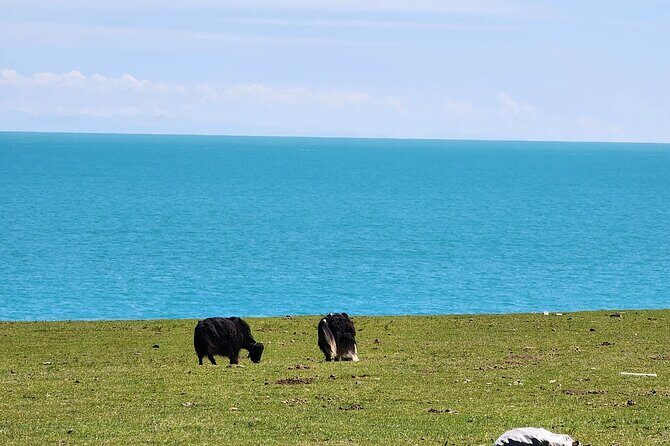 Private Day Trip to Taer Monastery and Lake Kokonor - Frequently Asked Questions