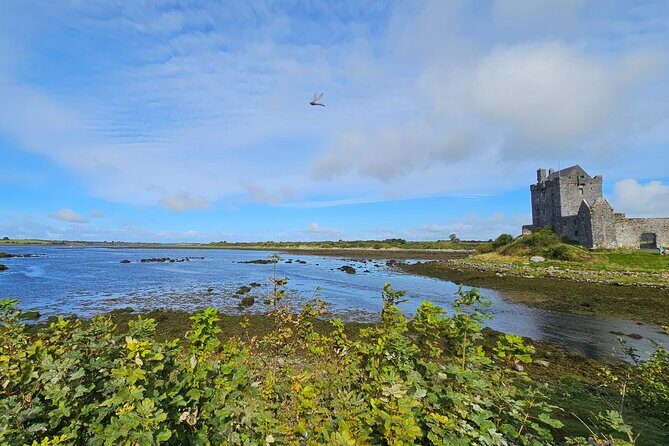 Private Day Trip to the Cliffs of Moher from Dublin - Historic Charm: Dungaire Castle