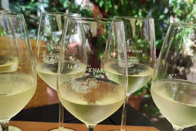 Private day trip to the Romantic Rhine Valley with river cruise and wine tasting - Transportation & Practicalities