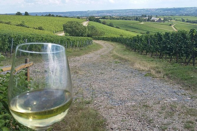 Private day trip to the Romantic Rhine Valley with river cruise and wine tasting - Who is This Tour Best For?