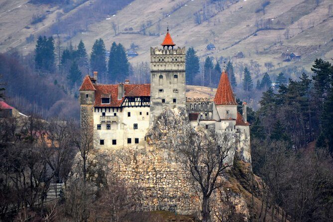 Private Day Trip to Transylvania: Dracula Castle, Royal Palace, Brasov Old Town - Exploring the Itinerary
