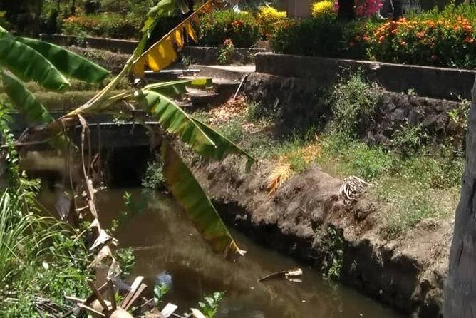 Private Day Trip To Visit MY LAI MASSACRE from Hoi an or Da Nang City - Authentic Insights from Reviews