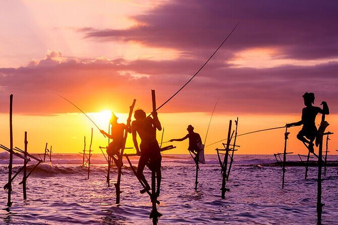 Private Day Trip to Yala National Park from Colombo - Who Is This Tour Best For?