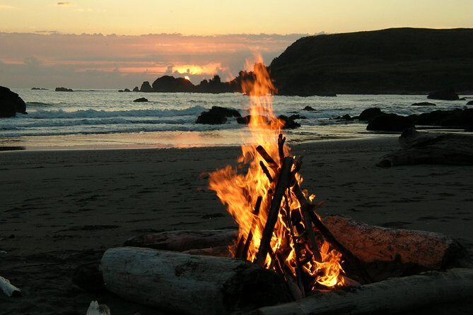 Private Day-Trip to Yala National Park Including BBQ Dinner on the Beach - Exploring Yala: The Heart of the Adventure