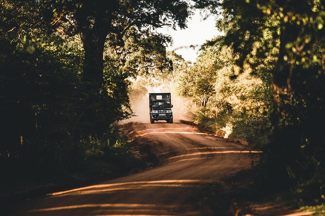 Private Day-Trip to Yala National Park Including BBQ Dinner on the Beach - The Practicalities: What to Expect