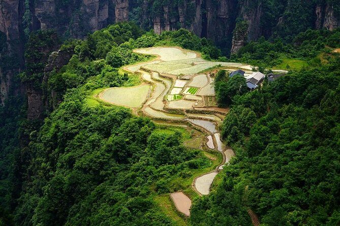 Private Day Trip to Zhangjiajie National Park-Off the Beaten Path - Key Points