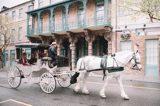 Private Daytime Horse-Drawn Carriage Tour of Charleston - The Experience in Detail