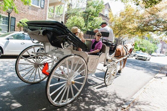 Private Daytime Horse-Drawn Carriage Tour of Charleston - Practical Details and Considerations