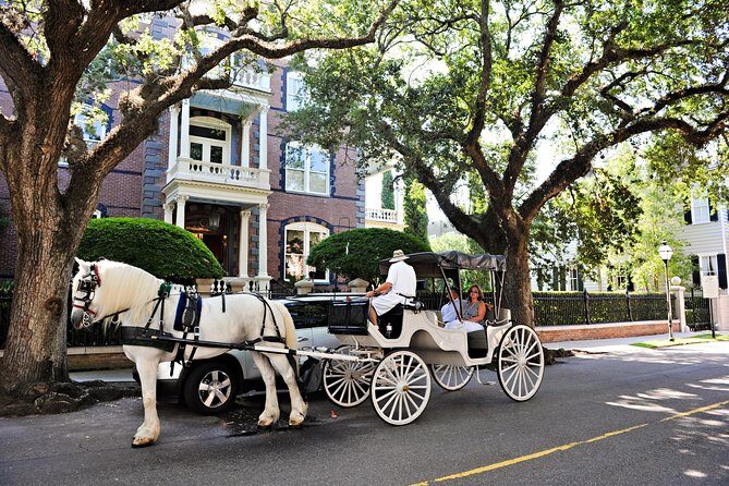 Private Daytime Horse-Drawn Carriage Tour of Charleston - Who Is This Tour Perfect For?