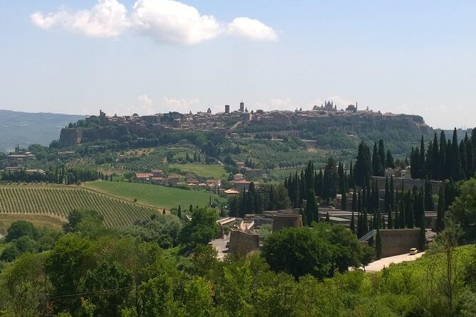Private daytour Tuscany from Roma or Civitavecchia port - The Sum Up: The Right Choice for Comfort and Customization