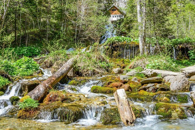 Private Daytrip Hike to Bucegi Mountains - Discovering Romania’s Natural Beauty: An Honest Look at the Bucegi Mountains Daytrip