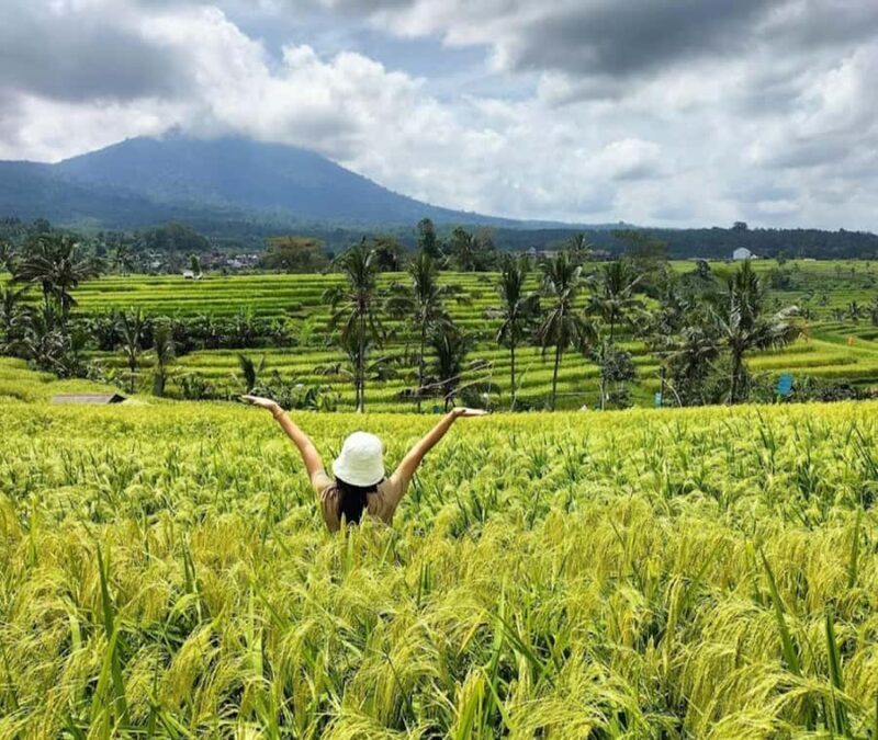 private daytrip:jatiluwih,purification ceremony,waterfalls - Who Should Consider This Tour?