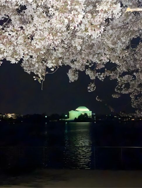 Private DC at Night Tour - Final Thoughts