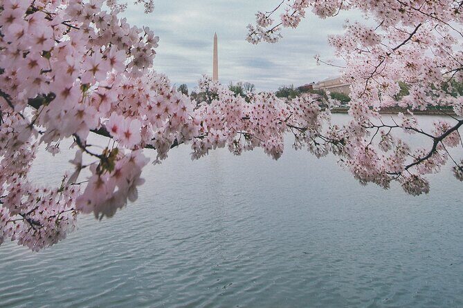 Private DC Guided Bus Tour with Step Off Guide - FAQ