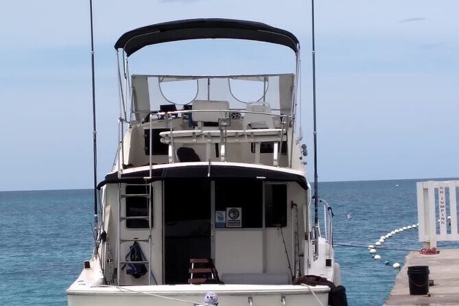 Private Deep Sea Fishing in Montego Bay - Why Choose Private Deep Sea Fishing in Montego Bay?