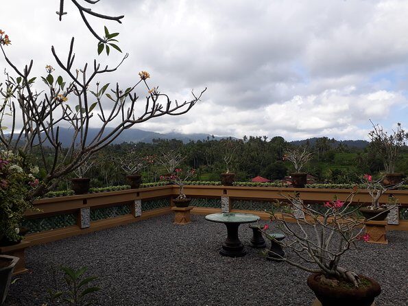 Private Denpasar City Tour Package - What Travelers Say