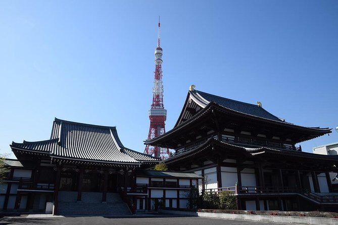 Private Departure Transfer : Central Tokyo City to Narita International Airport - Why Choose a Private Transfer in Tokyo?