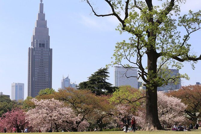 Private Departure Transfer : Central Tokyo City to Narita International Airport - The Sum Up: Is It Worth Your Money?