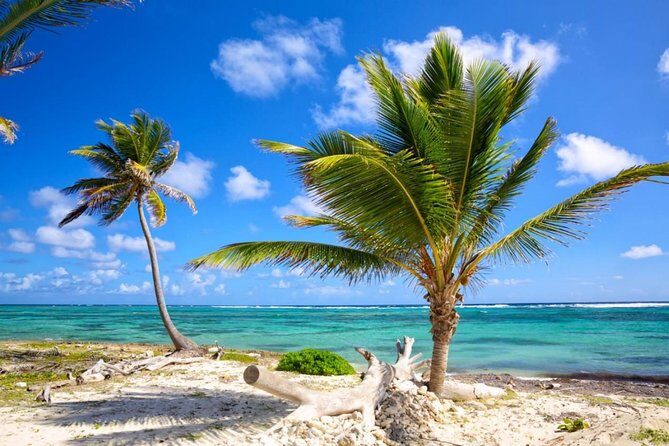 Private Departure Transfer from Uvero Alto to Punta Cana airport (PUJ) - Analyzing the Price and Value