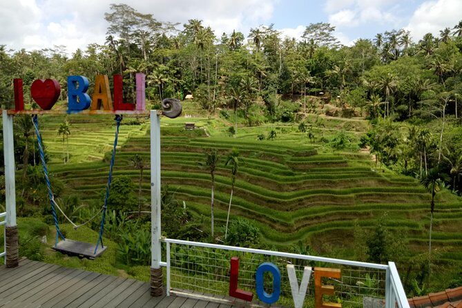 Private Departure Transfer: Ubud Area To Ngurah Rai International Airport - Authentic Experiences & Feedback