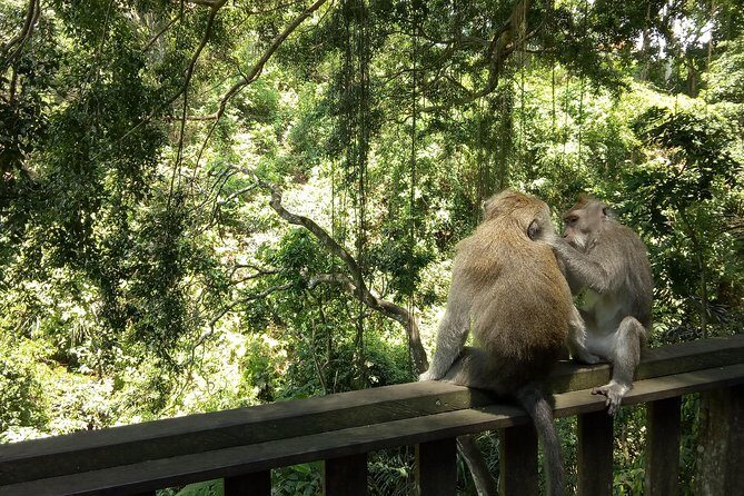 Private Departure Transfer: Ubud Area To Ngurah Rai International Airport - Pricing & Value