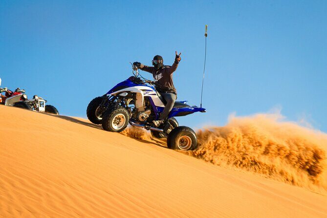 Private Desert Safari Tour in Dubai - An In-Depth Look at the Dubai Desert Safari Tour