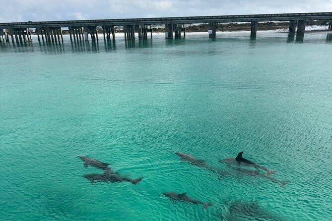 Private Destin Harbor Boat Tour Adventure - Why Travelers Love This Experience