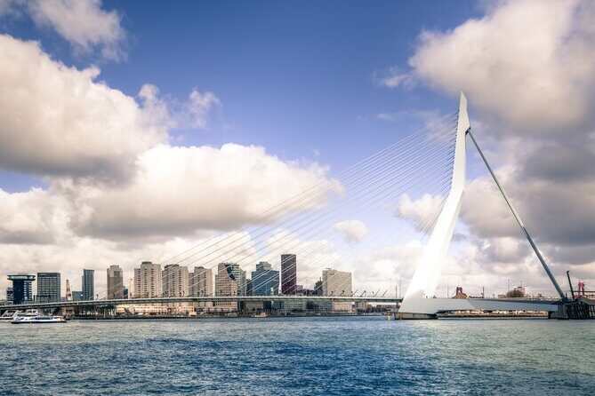 Private direct transfer from Amsterdam to Rotterdam - Vehicles Suited to Your Group Size
