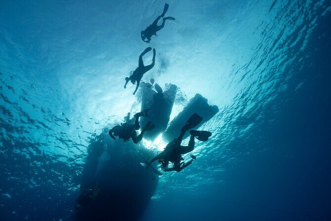 Private Discovery Scuba Diving with Sea Turtles - Who Will Love This Experience?