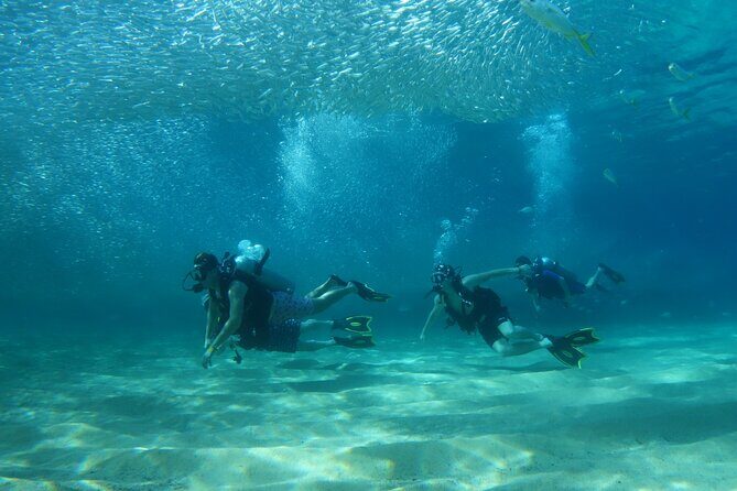 Private Dive Boat for Certified Divers - Cabo San Lucas - Why This Dive Tour Stands Out