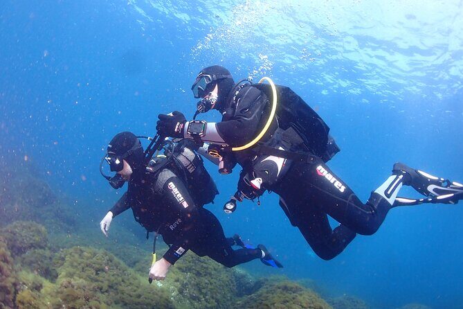 Private diving baptism in the Golf of Calvi - What Makes This Experience Stand Out