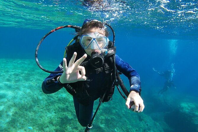 Private diving baptism in the Golf of Calvi - Final Thoughts