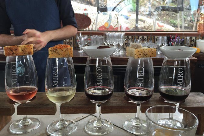 Private Dog Friendly Wine Tour with your Local Guide - Who Will Love This Tour?