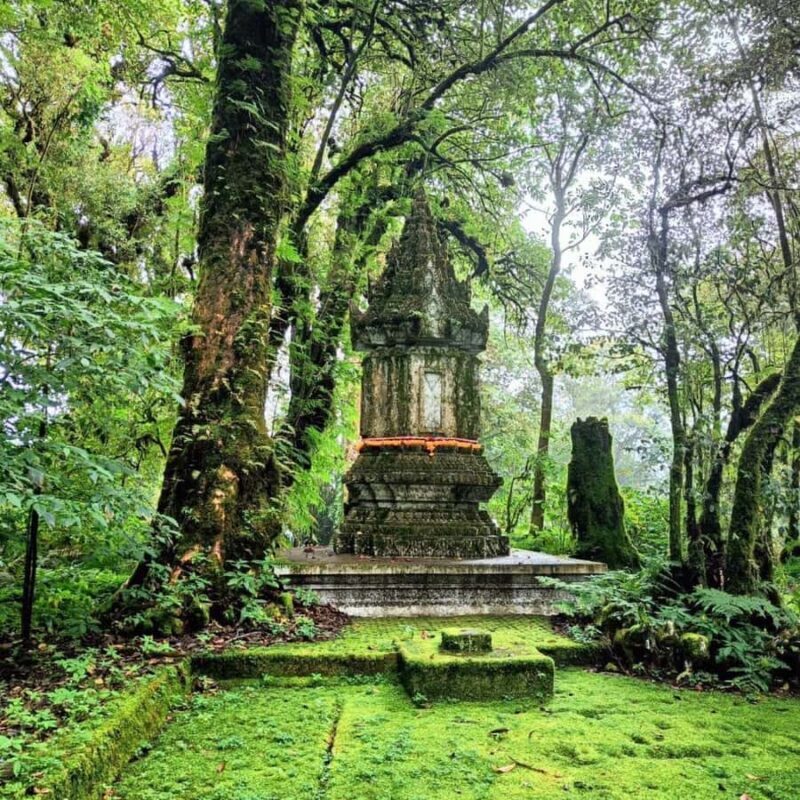 Private Doi Inthanon National Park Sightseeing Day Tour - Key Points