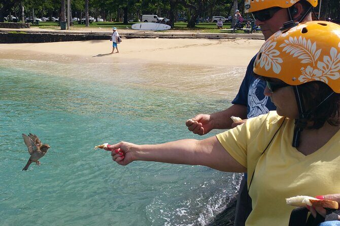 Private Dole,Garlic Shrimp, N.Shore, Haleiwa, Customizable tour - What We Like and What to Consider