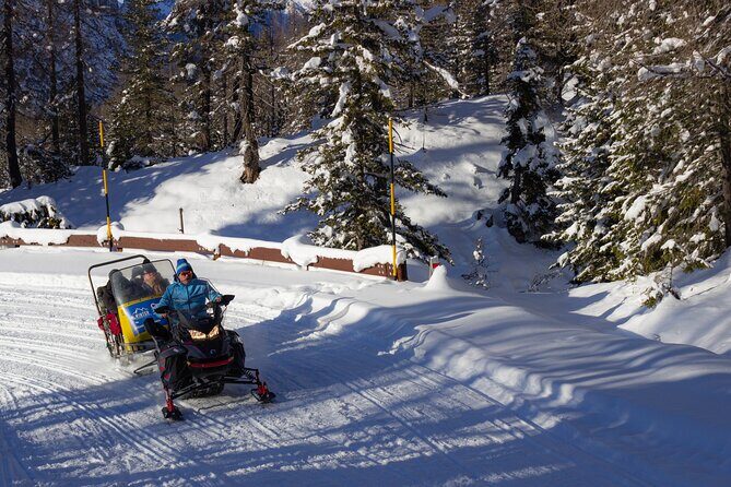 Private Dolomites Winter Day Tour from Venice - Final Thoughts