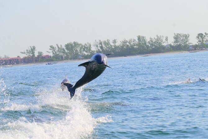 Private Dolphin and Intracoastal Tour of Anna Maria Island - Who Should Consider This Tour?