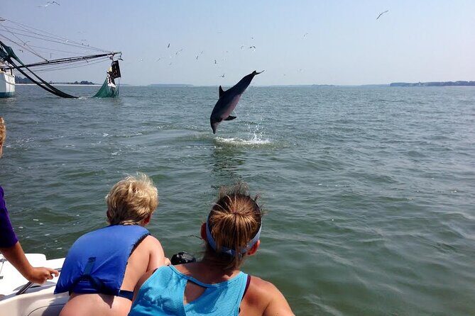 Private Dolphin and Nature Tour of Hilton Head - Overall Value and Recommendations