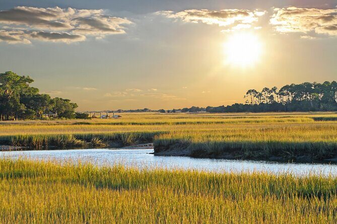 Private Dolphin and Nature Tour of Hilton Head - Final Thoughts