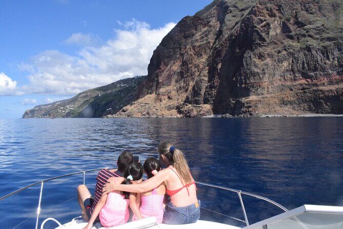 Private Dolphin and Whale Watching Tour in Madeira - The Value of the Experience: Price, Comfort, and Authenticity